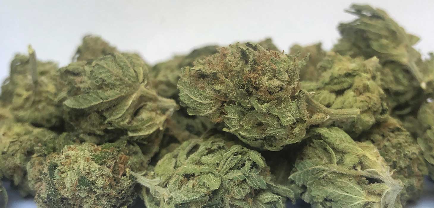 Durban Z Strain Review, Effects & Info | Hello High